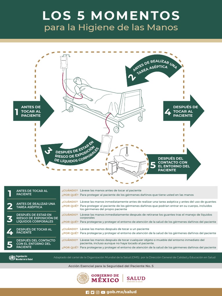 Los 5 Momentos para La Higiene de Manos | PDF | Lavado de manos | Ciencias de la Salud