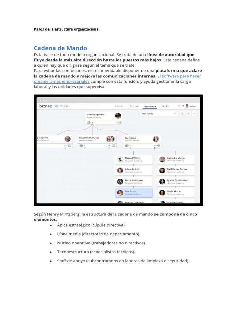 Estructuras Organizacionales Empresariales | PDF | Mercado (economía ...