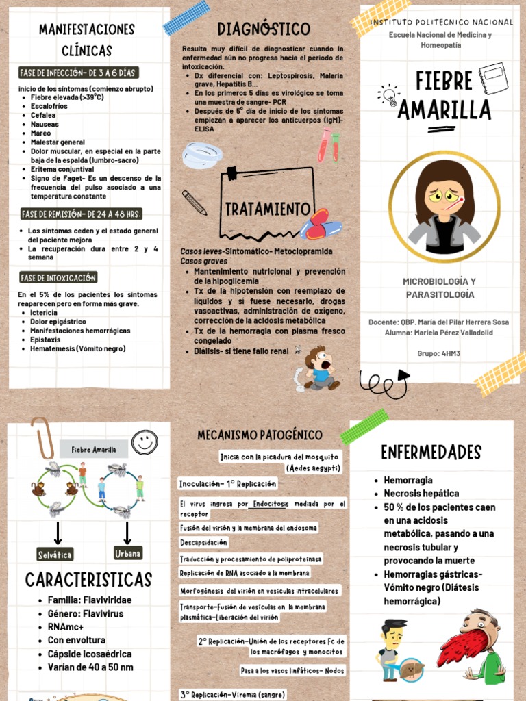 Triptico-Fiebre Amarilla | PDF Triptico-Fiebre Amarilla | PDF