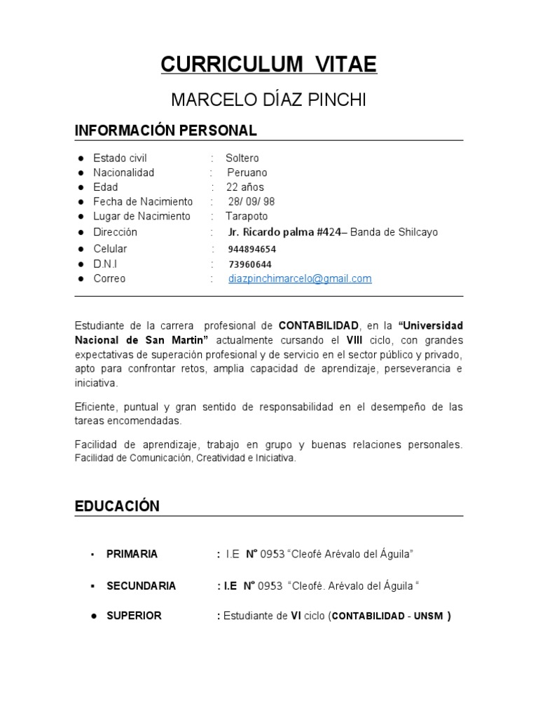 Curriculum Vitaeee Marcelo Diaz Pinchi.. | PDF