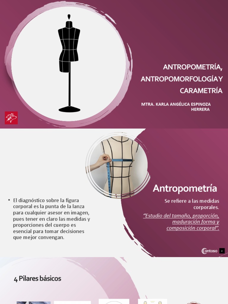 Antropometría, Antropomorfología y Carametría | PDF