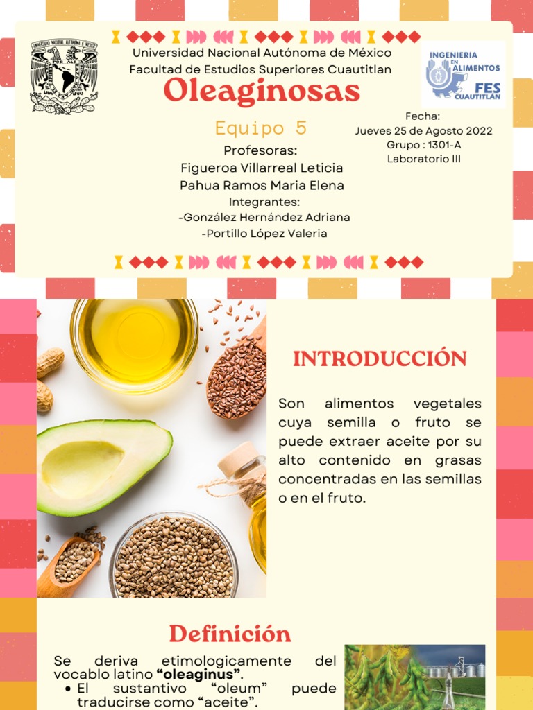 Definición y Uso de Oleaginosas | PDF | Petróleo | Alimentos