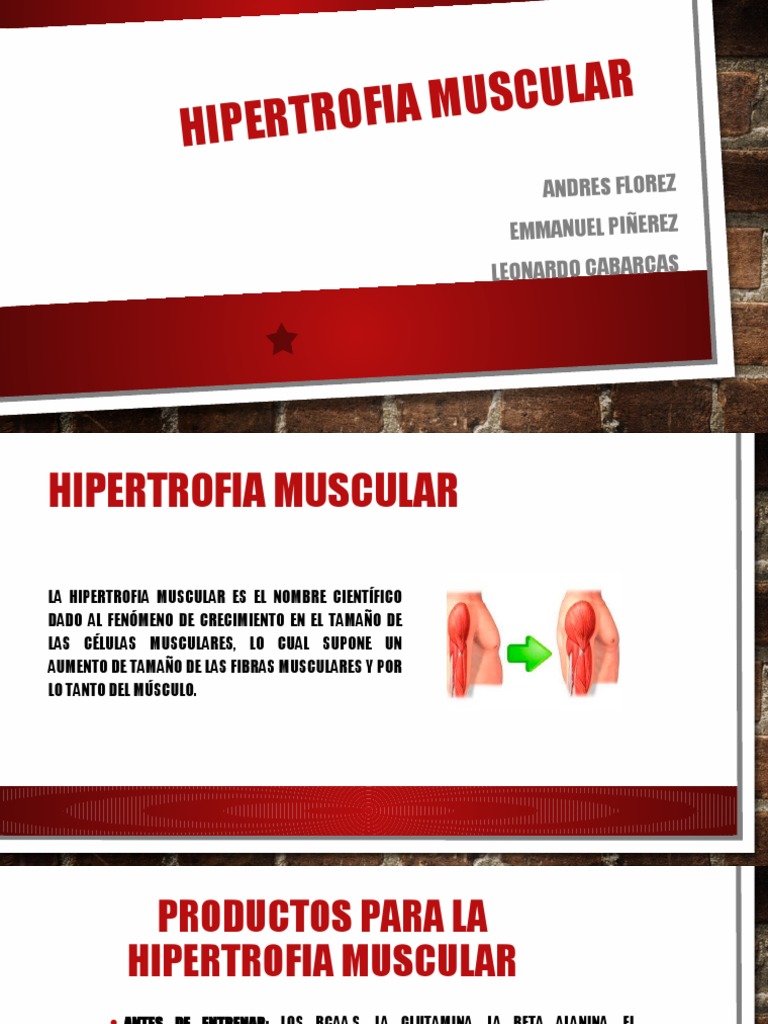 Hipertrofia Muscular | PDF