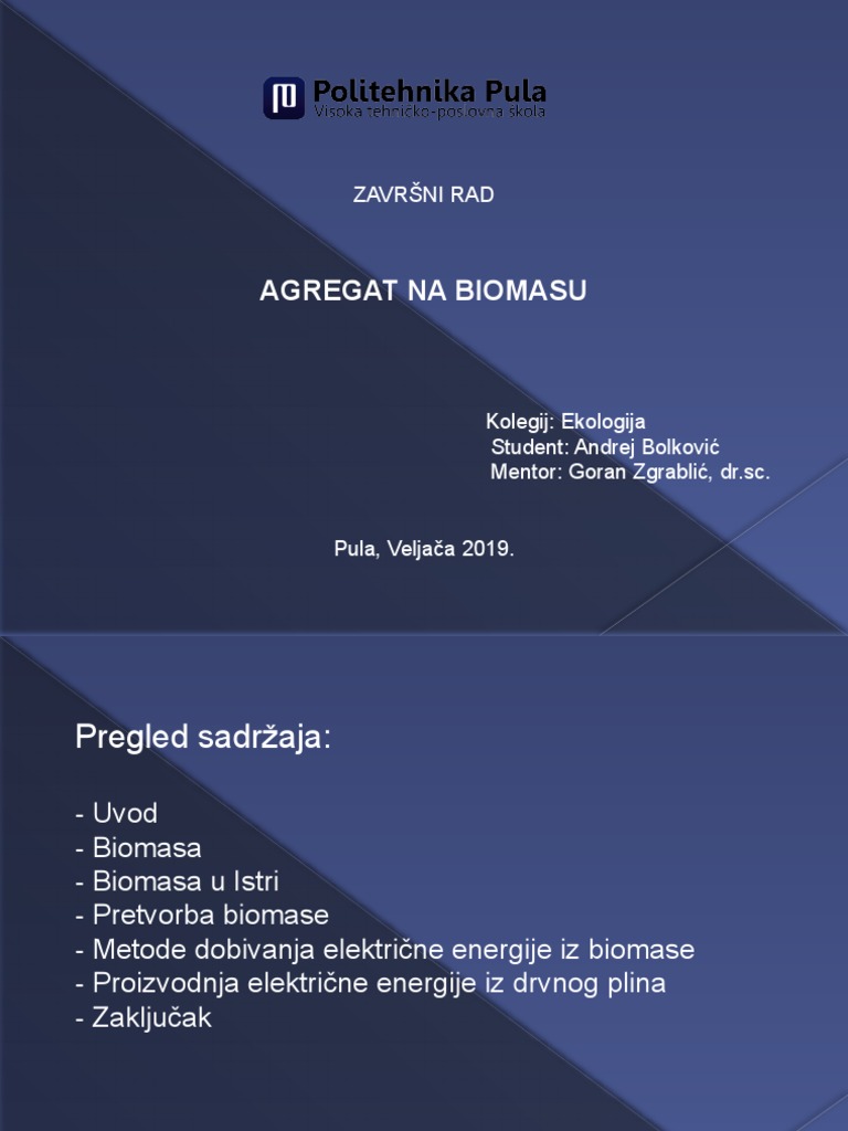 Završni Rad | PDF