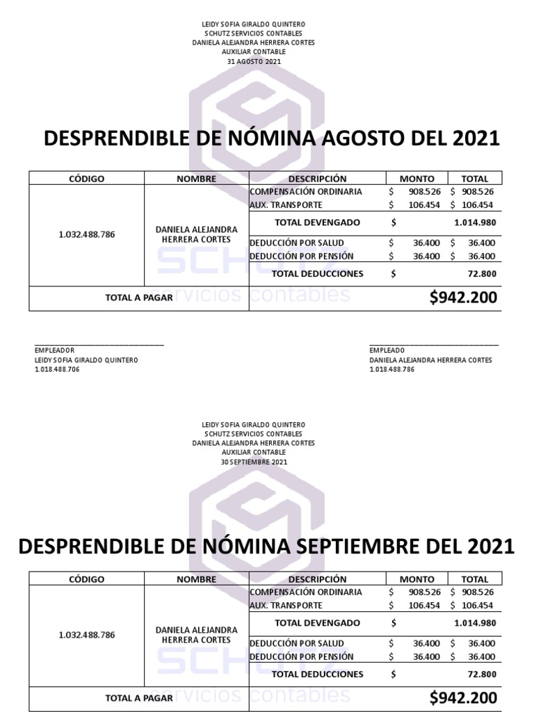 Desprendible de Nómina | PDF