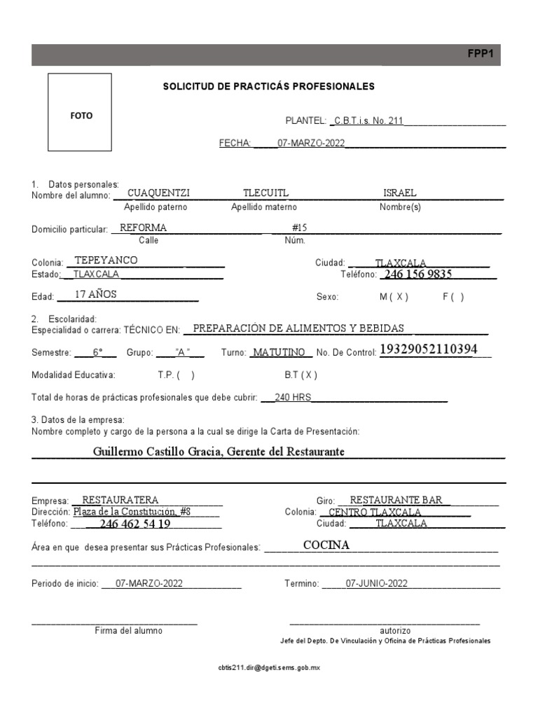 FORMATOS-DE-PRACTICAS-PROFESIONALES. (1) | PDF