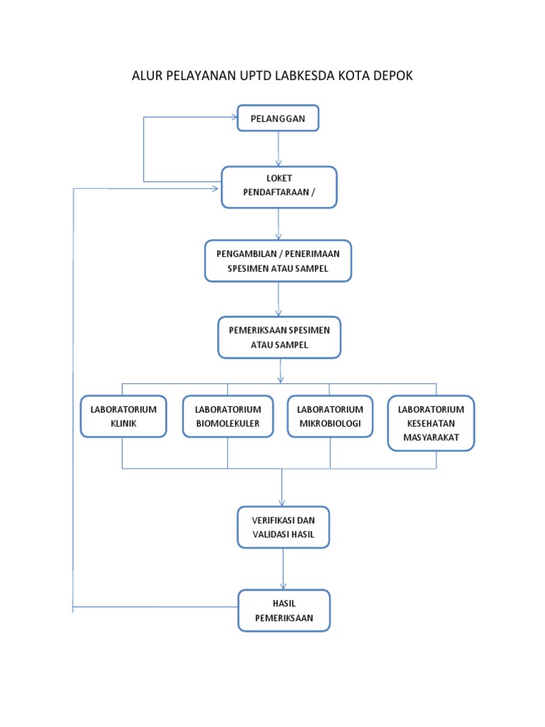 Alur Pelayanan Labkesda Depok | PDF | Teknologi & Rekayasa