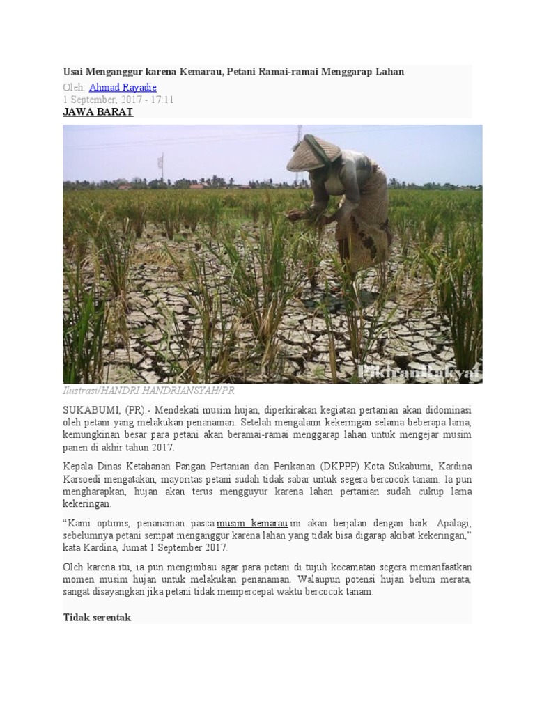 Usai Menganggur Karena Kemarau | PDF