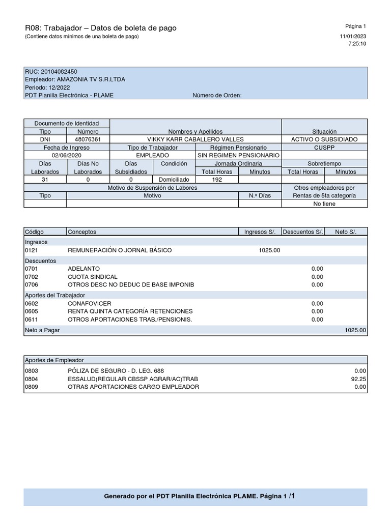 R08: Trabajador - Datos de Boleta de Pago | PDF