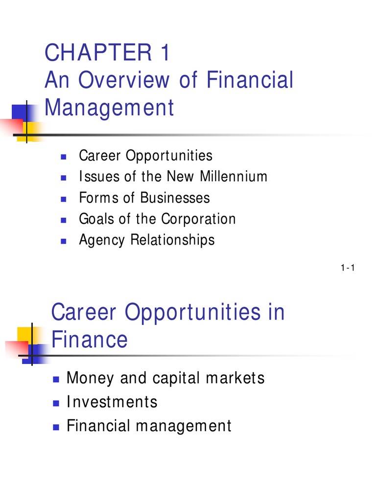 An Overview of Financial Management | PDF