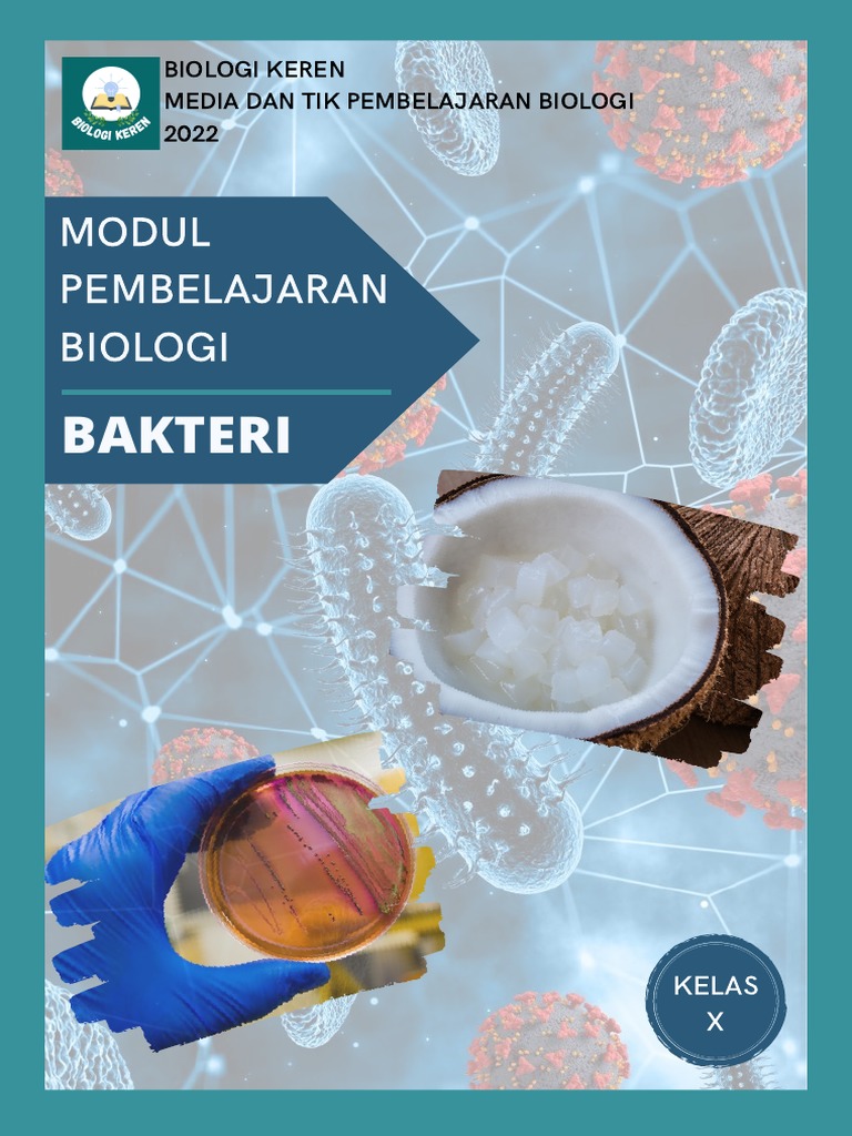 LKPD Bakteri | PDF | Sains & Matematika