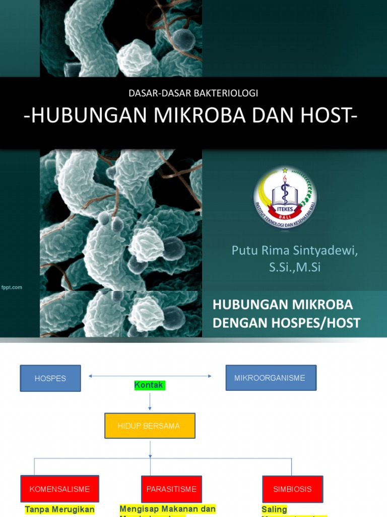 Bakteriologi Dasar Part 1 | PDF