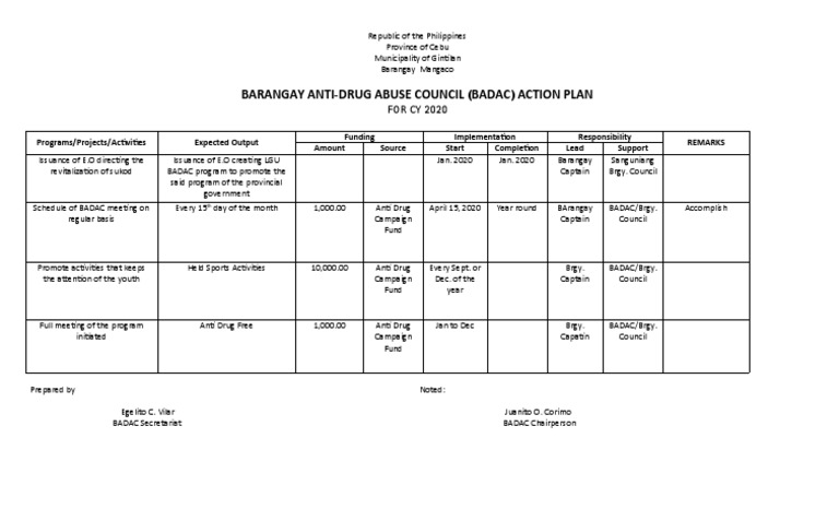 BADAC Action Plan - BLANK | PDF | Social Aspects Of Psychoactive Drugs