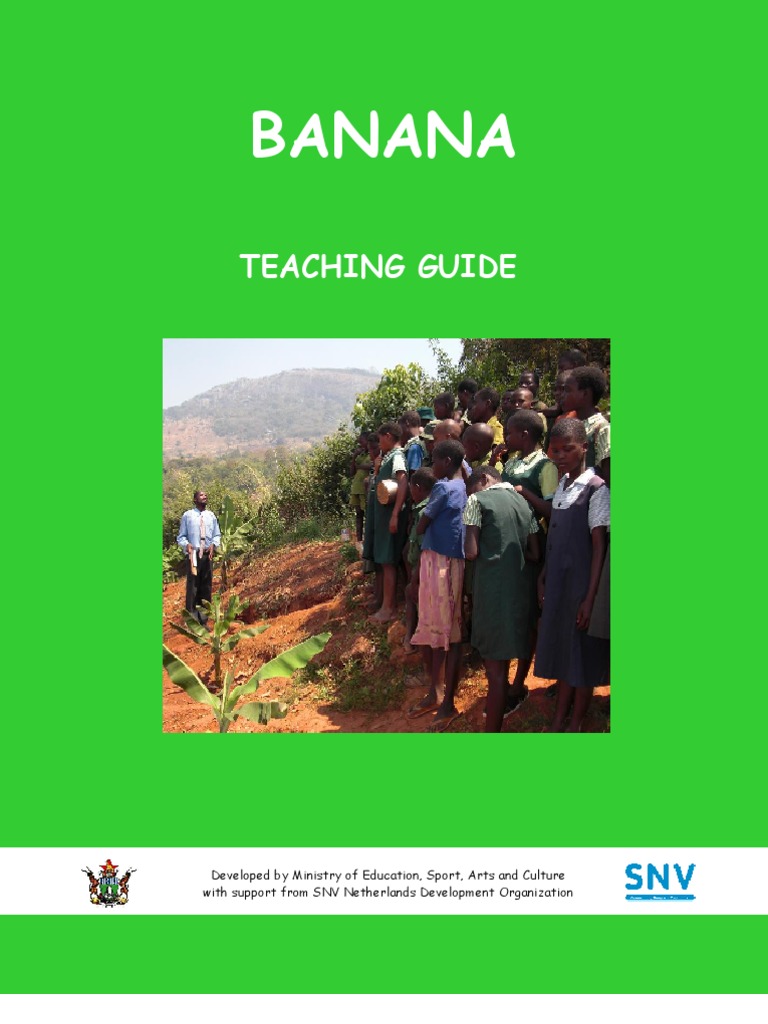 Banana Teaching Guide | PDF | Banana | Soil