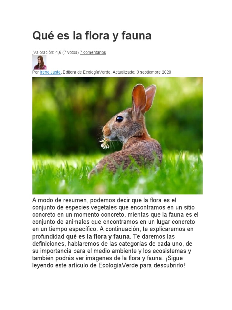 Qué Es La Flora y Fauna | PDF | Fauna | Hierba