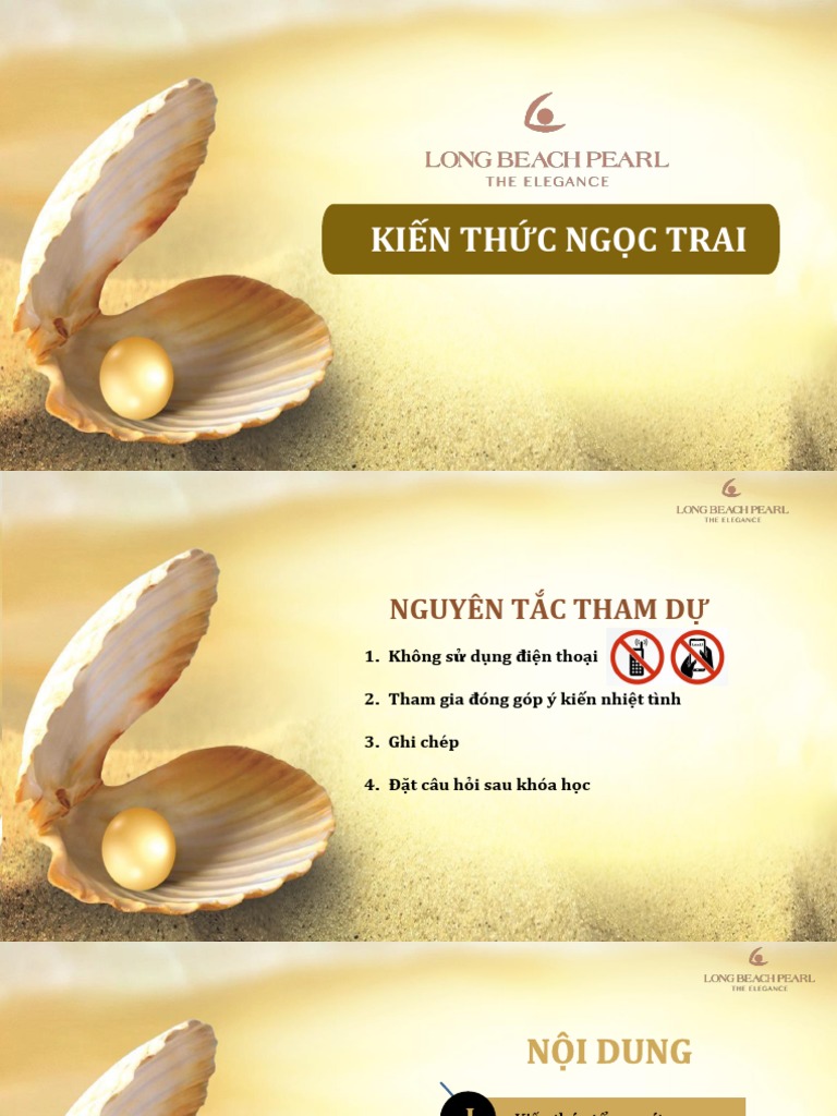 KIEN THUC NGOC TRAI New | PDF