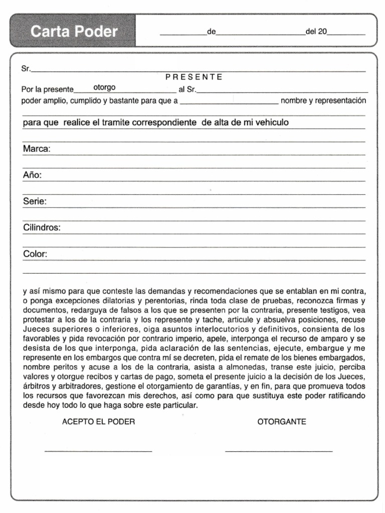 Carta Poder Sin Testigos | PDF