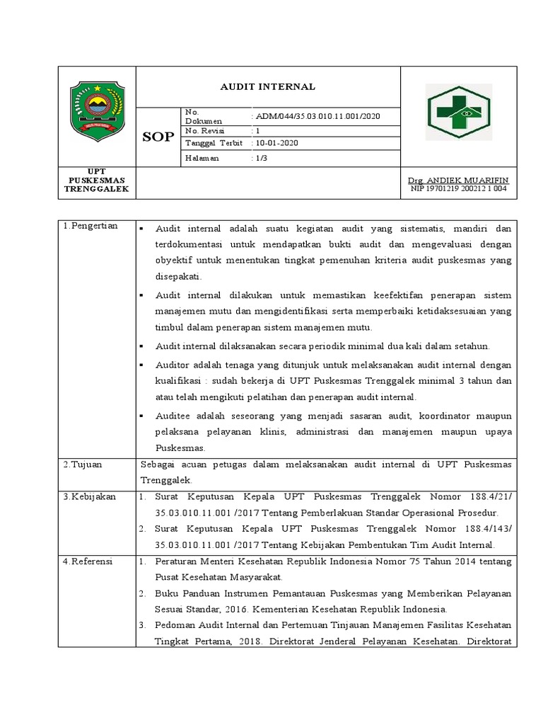 REVISI SOP AUDIT INTERNAL 2020 | PDF