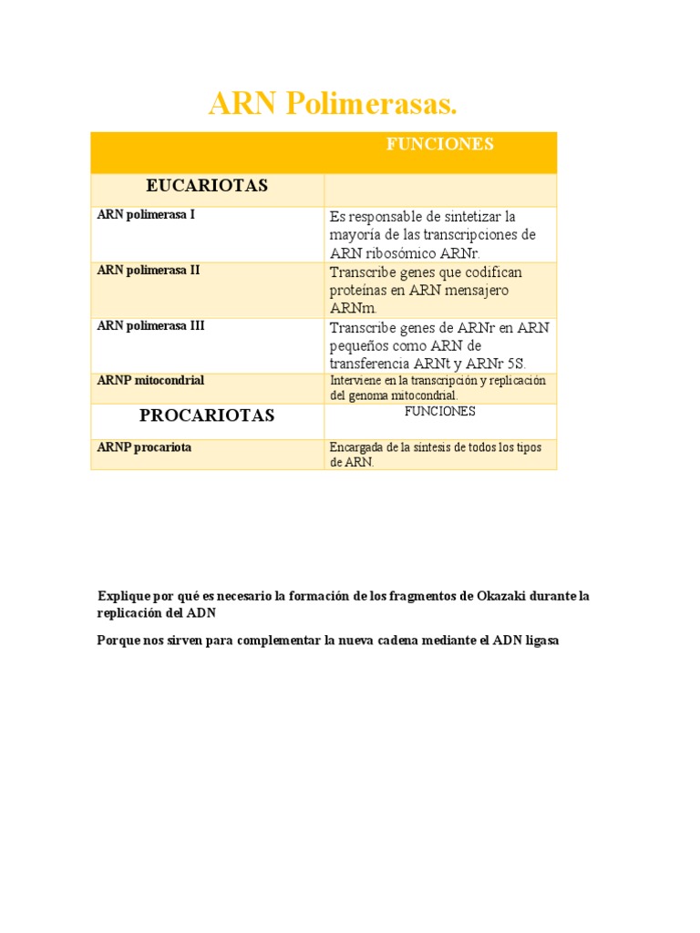 Funciones ARN Polimerasa | PDF