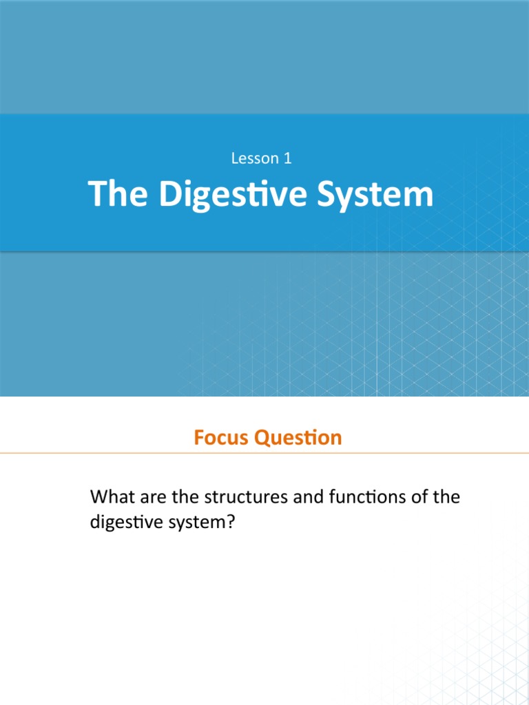 Lesson 25.1. The Digestive System | PDF | Digestion | Human Digestive System