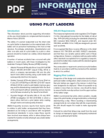 Pilot Transfer Arrangements Guidelines | PDF | Rope | Ships