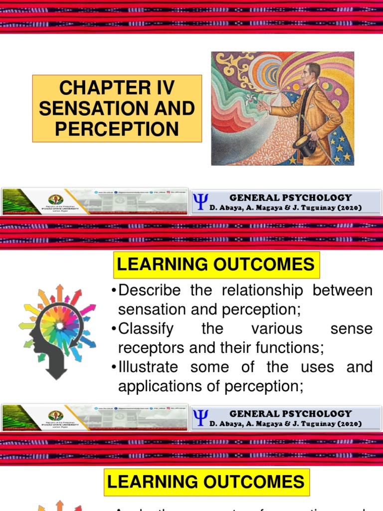 Sensation & Perception Basics | PDF | Senses | Perception