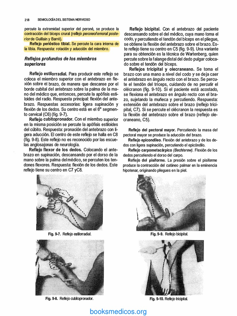 Exploracion de Los Reflejos1 | PDF | Mano | Codo
