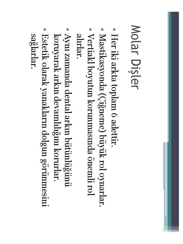 DHF - 101 - C-25 Ark Formu, Oklüzyon Ve Oklüzal Ilişkilendirme | PDF