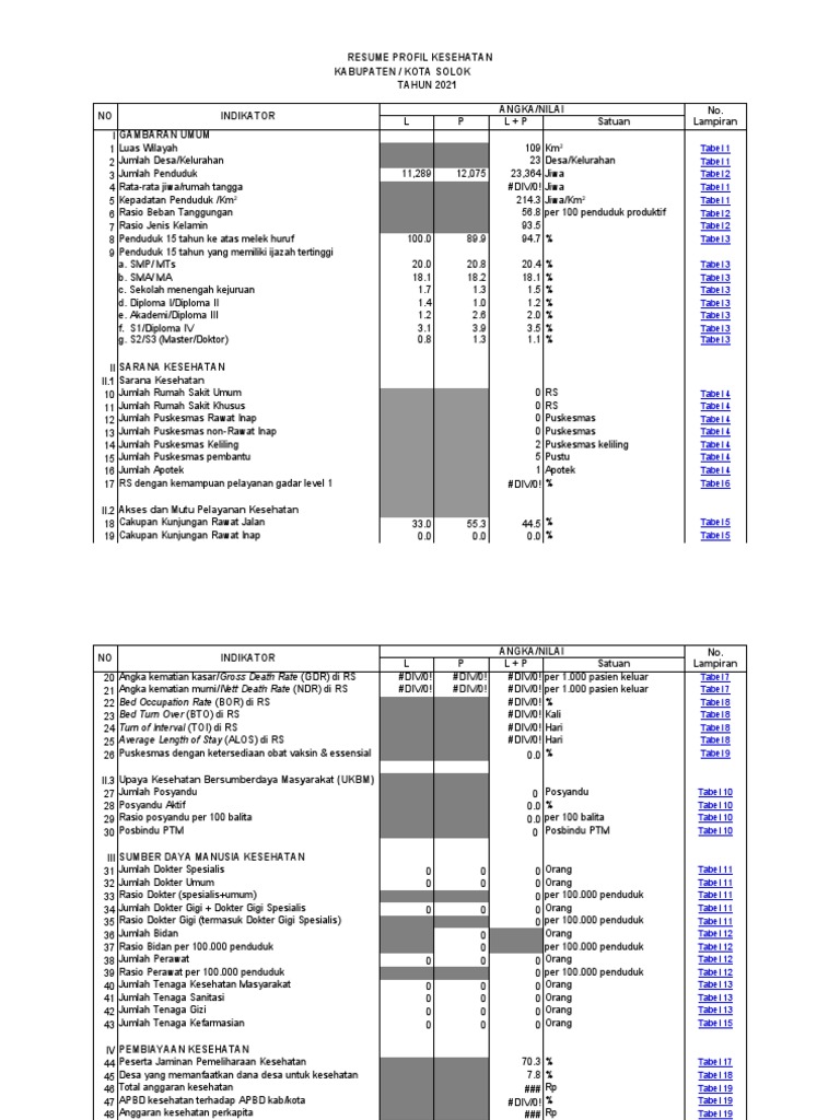 Profil Kesehatan Kab Solok Tahun 2022. Muara Panas | PDF
