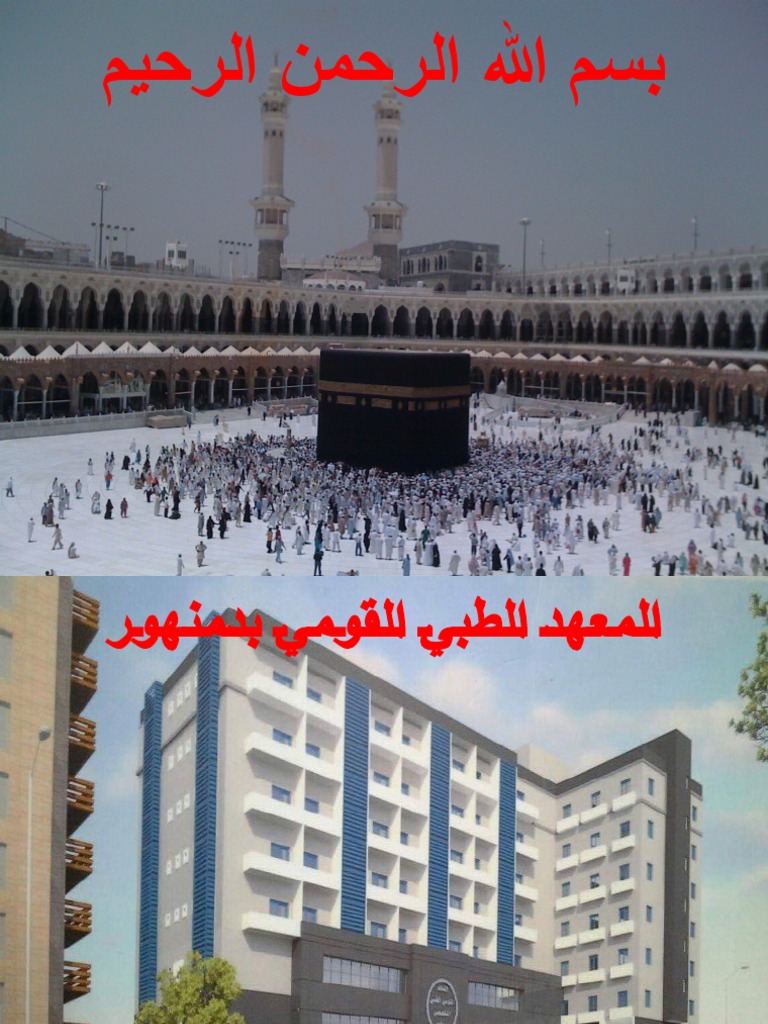 Pan Arab Conference | PDF | Kidney Disease | Epidemiology