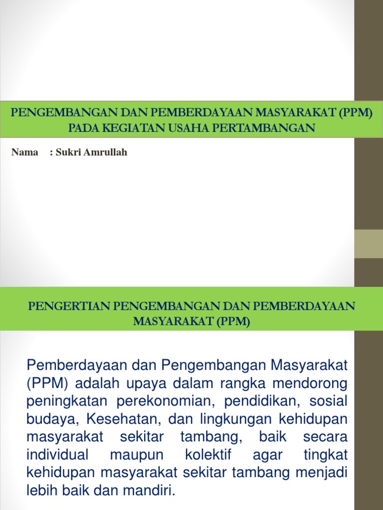 Presentasi PPM | PDF