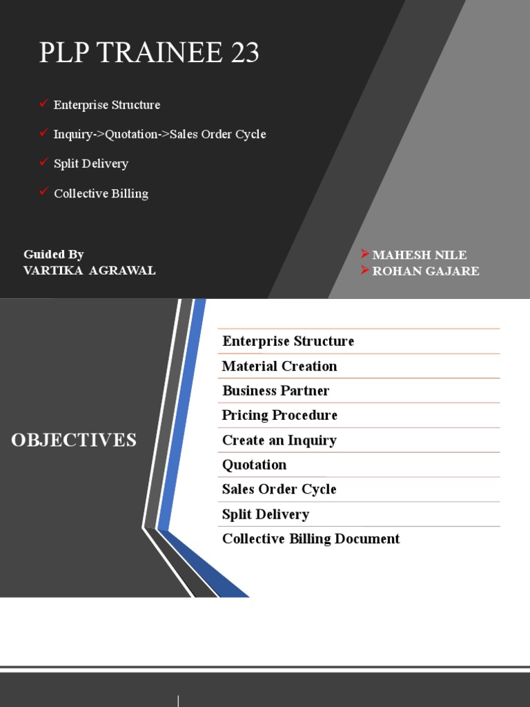 Presentation PLP | PDF | Invoice | Pricing