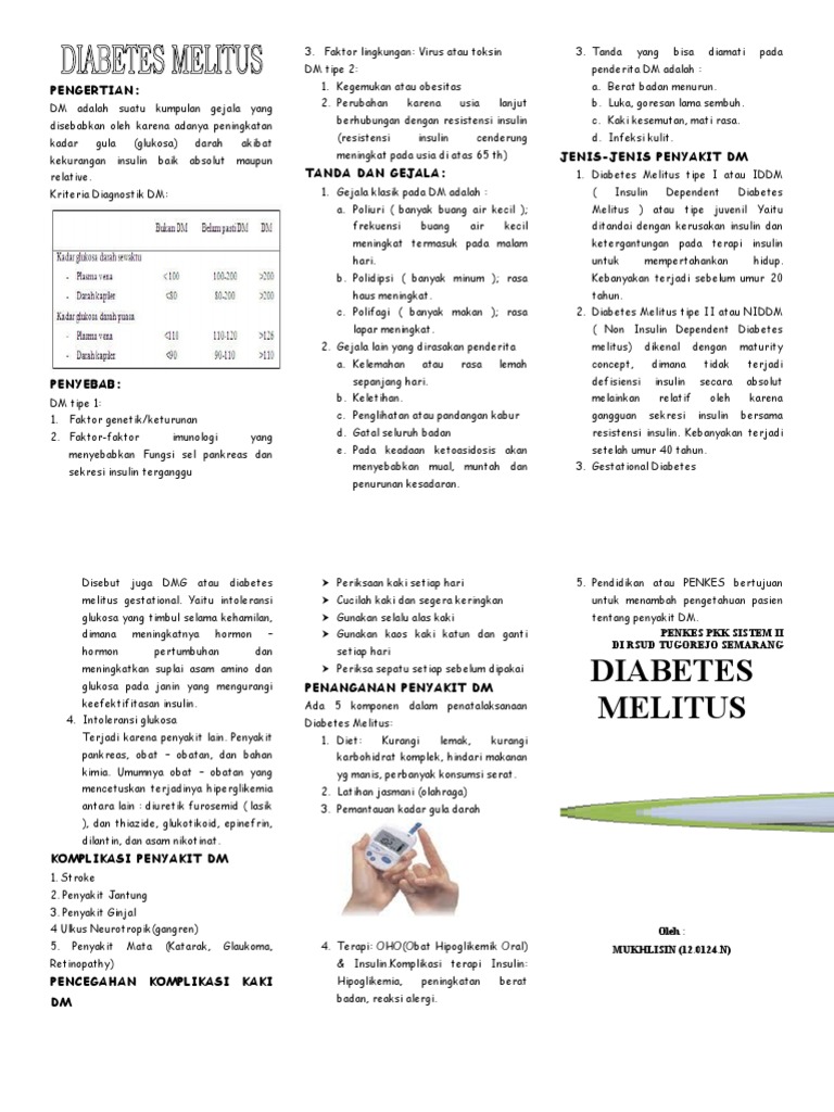 Leaflet DM NDN | PDF