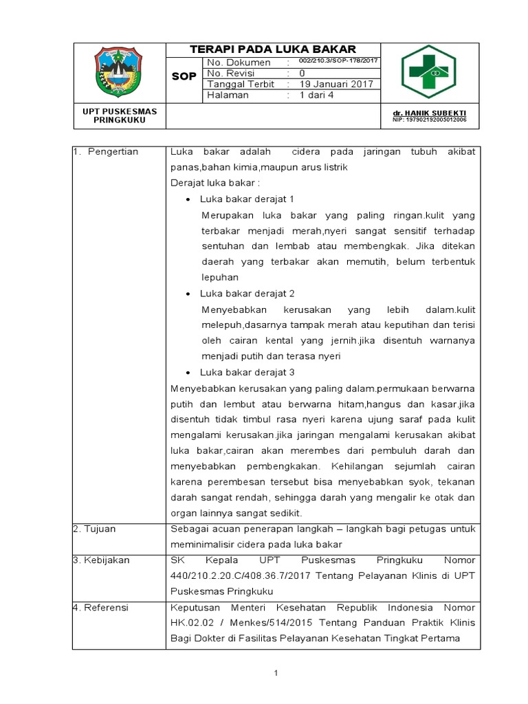 Sop Terapi Pada Luka Bakar | PDF
