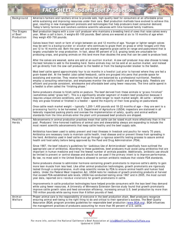FACT SHEET Modern Beef Production 26-01-11 | PDF | Cattle | Animal Welfare
