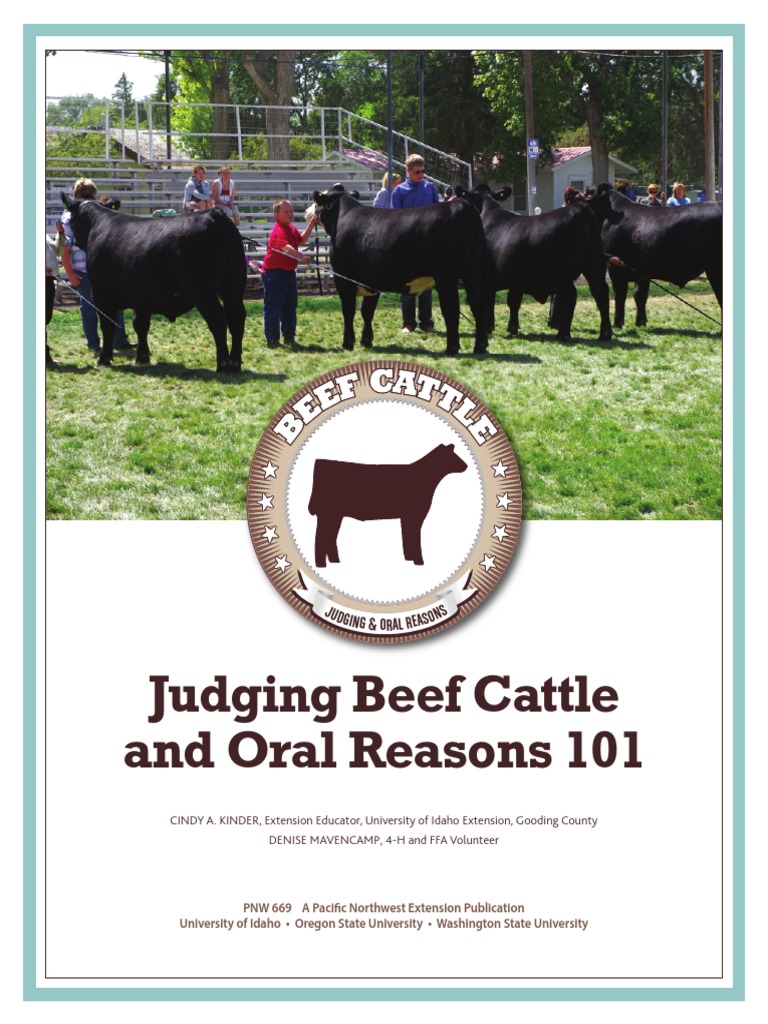 Beef Judging | PDF | Cattle | Length