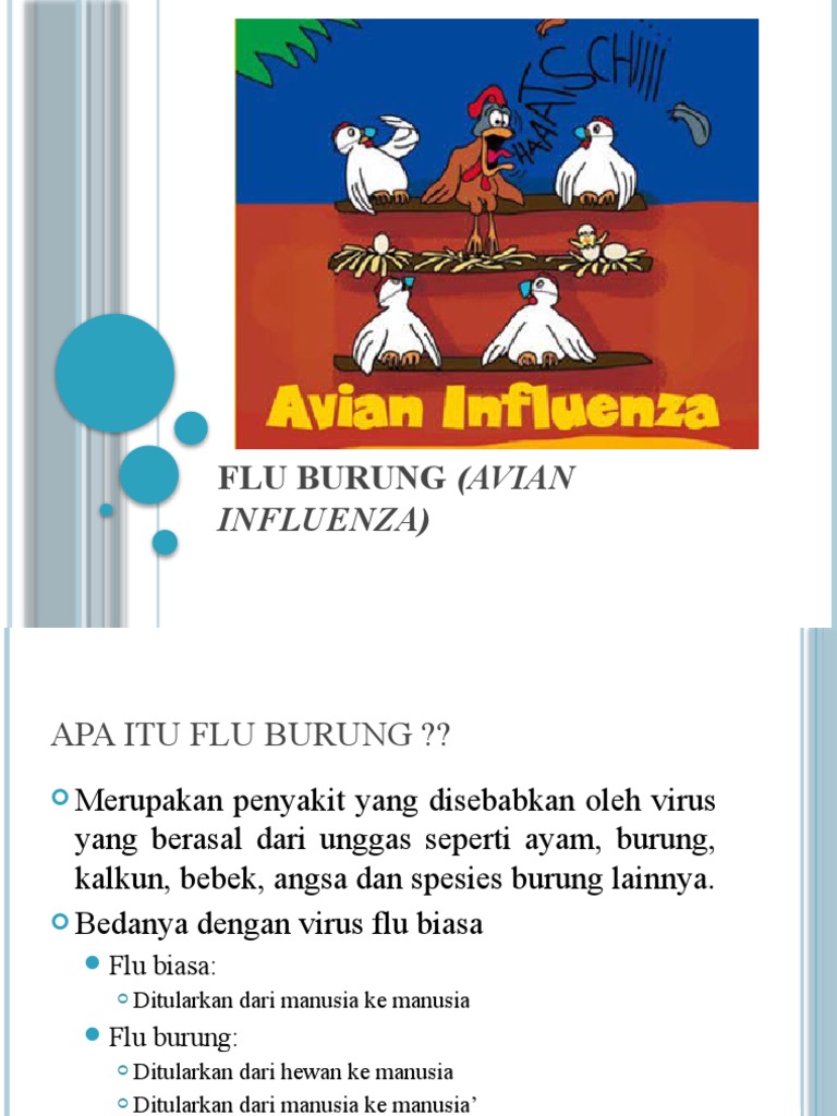 3 Flu Burung (Avian Influenza) | PDF