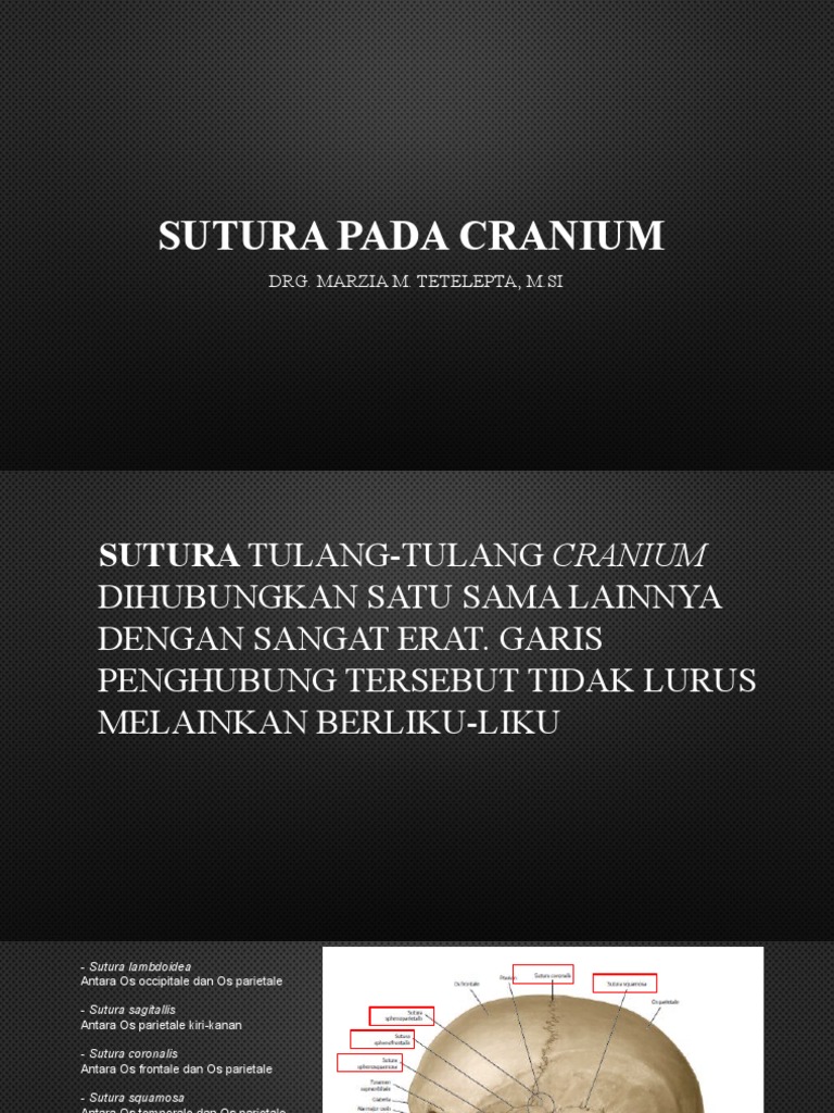 Kuliah 3 Sutura Pada Cranium | PDF