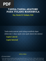 Anatomi Maksila & Mandibula | PDF