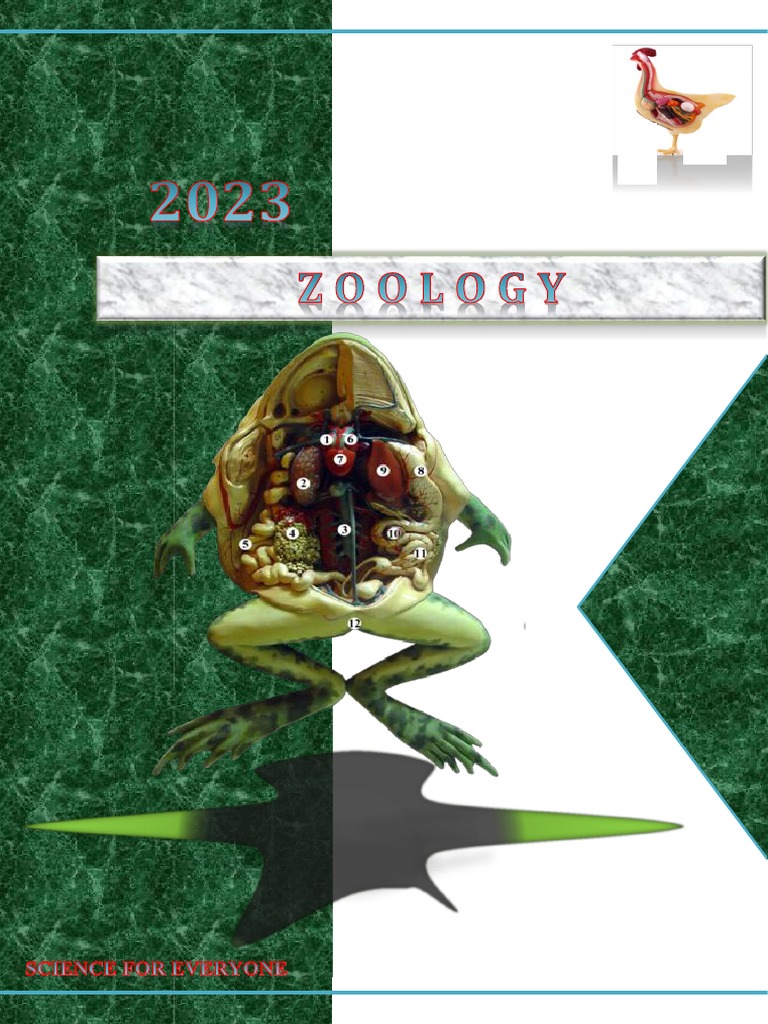 Lecture - Zo - 1 | PDF