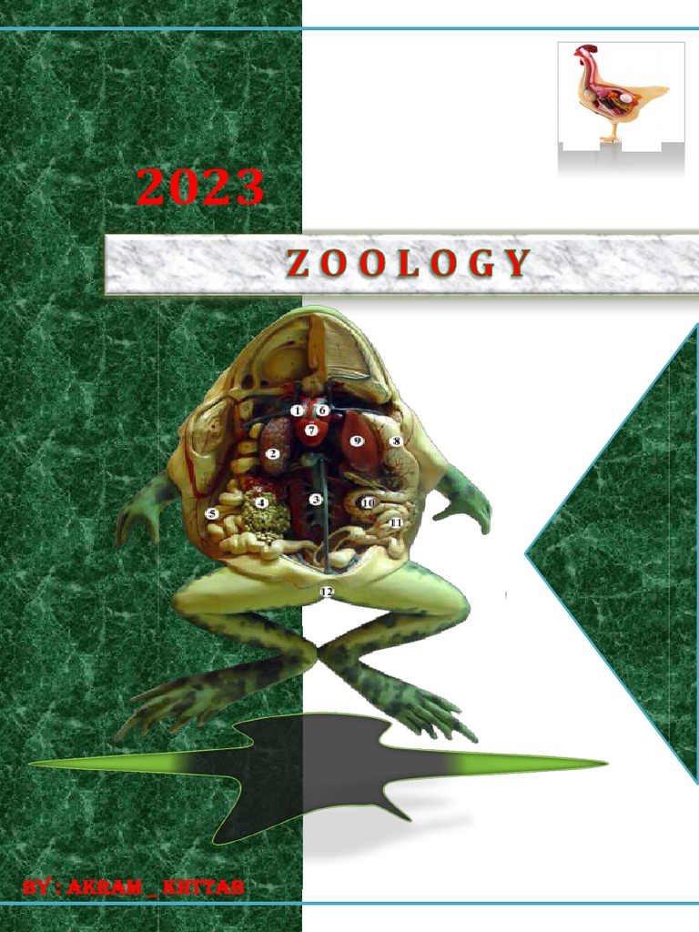 Chapter 1 Zoo Pdf