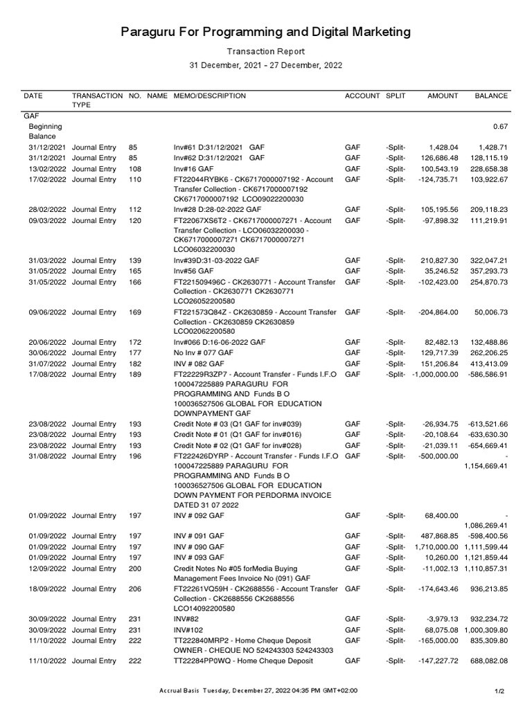 A Year in Transactions: Income and Expenses for Paraguru For Programming and Digital Marketing ...