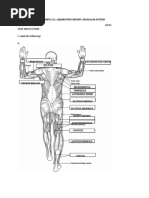 Goniometry Landmarks | PDF | Anatomical Terms Of Motion | Anatomical ...
