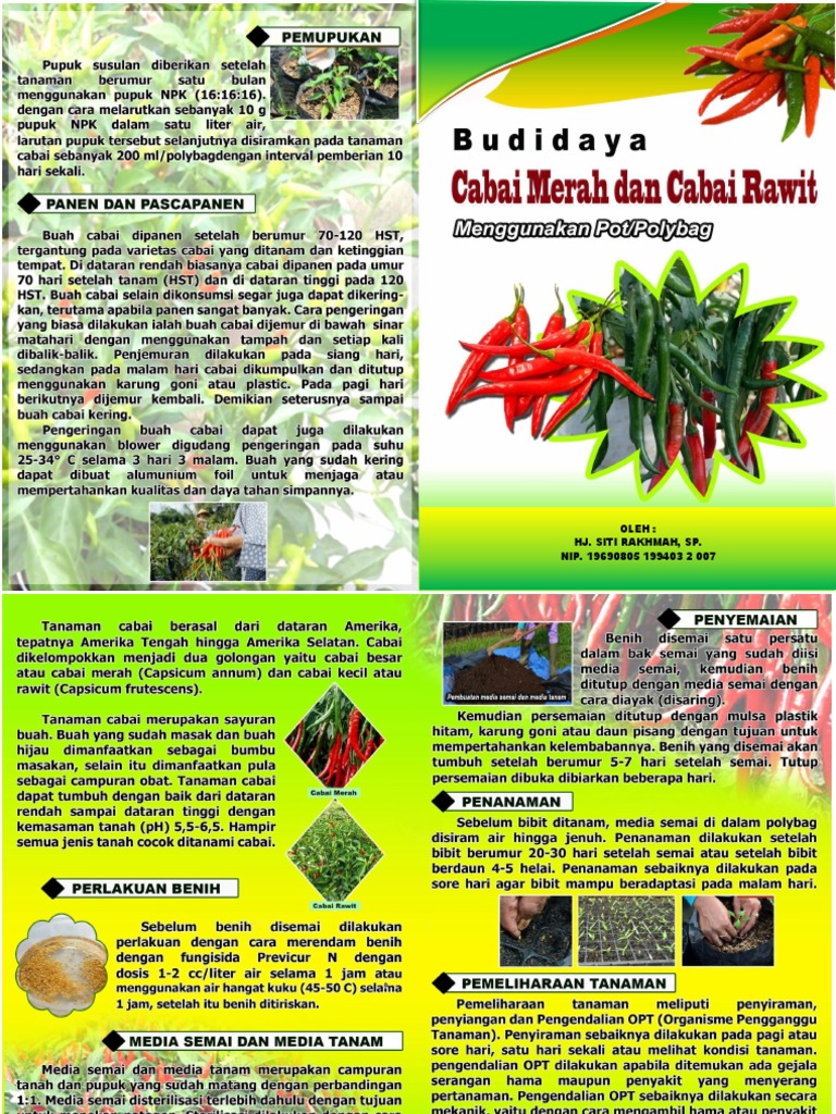 Leaflet Cabe RAWIT RAHMAH | PDF