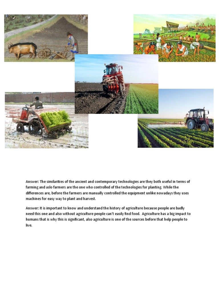 Activity About Agriculture | PDF