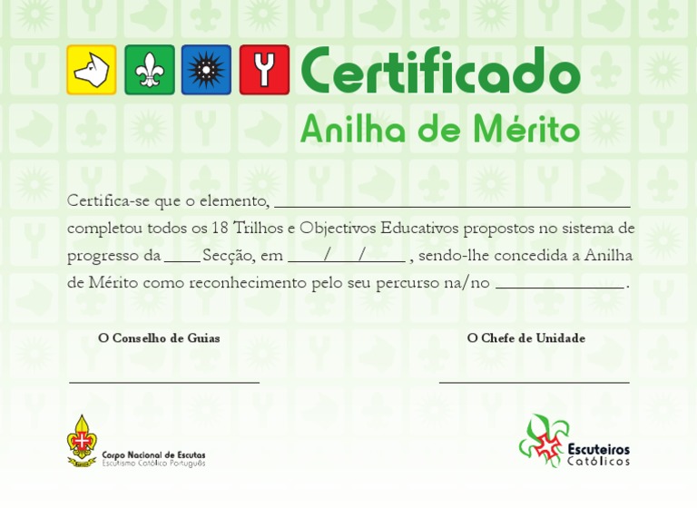 Certificado Anilha Merito Certificado | PDF