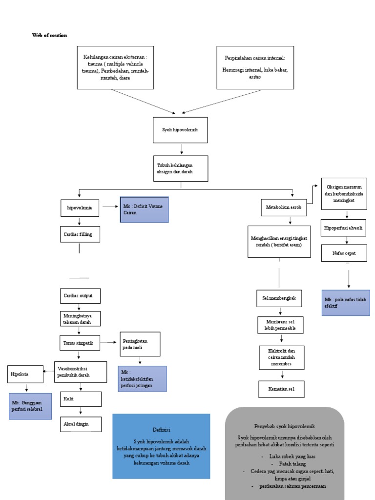 Woc Syok Hipovolemik Tridara Februaluki | PDF