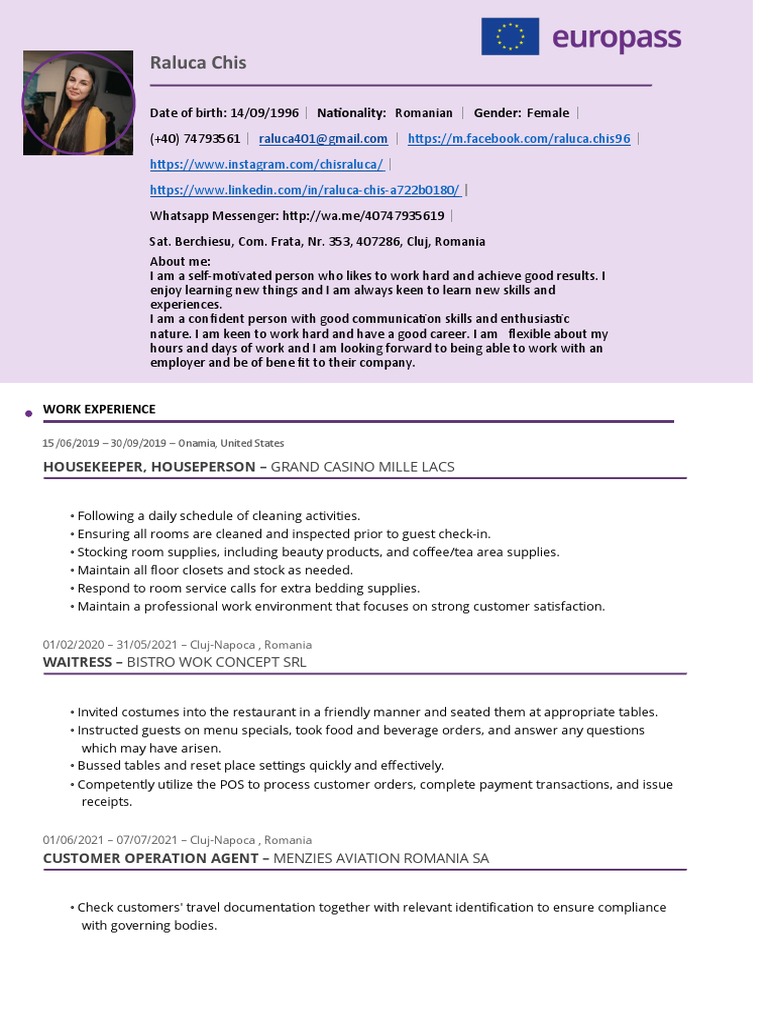 Raluca Chis: Work Experience | PDF