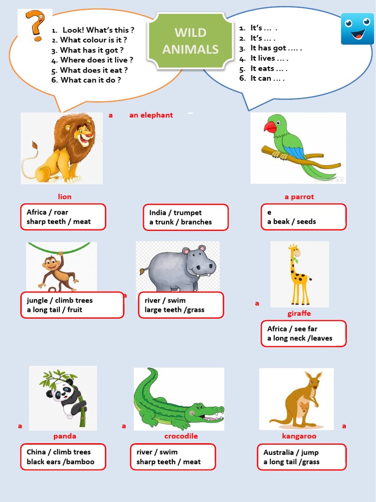 Wild Animals Picture Description | PDF