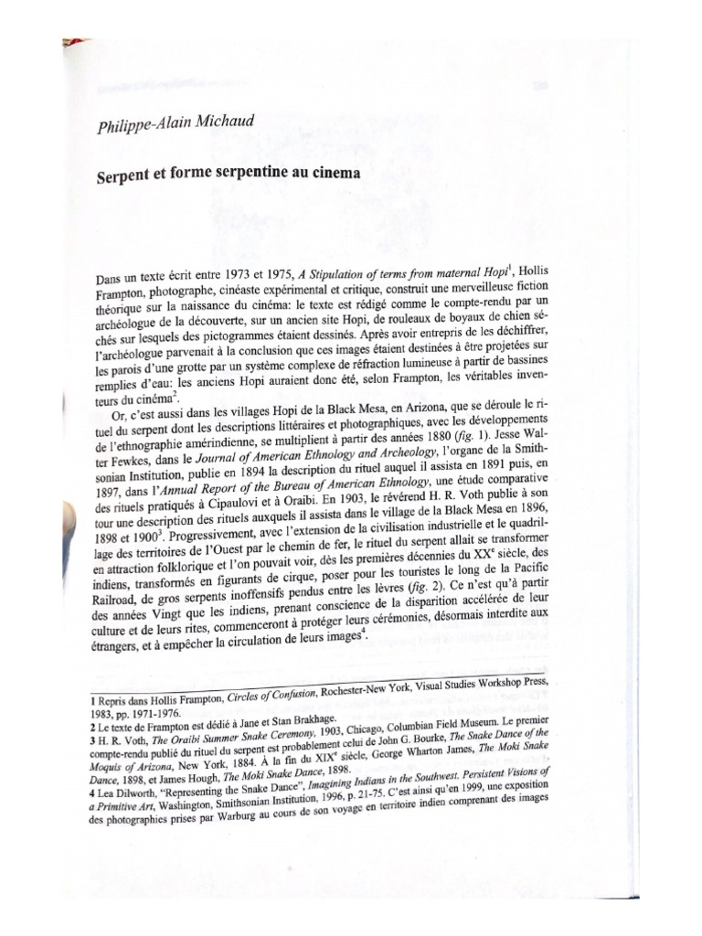 Philippe-Alain Michaud | PDF